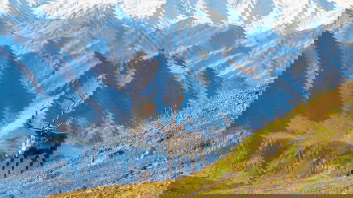 Collette Canada & Alaska Tours - 2025 & 2026 Seasons