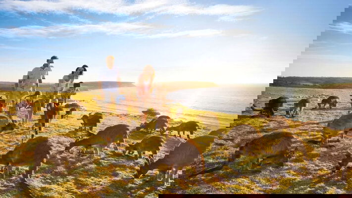 Intrepid Australia Tours - 2025-2027 Seasons