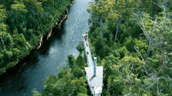 Travelmarvel Tours, Cruises & Reviews