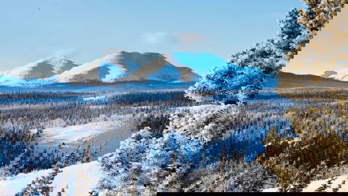 APT Canada Tours & Alaska Cruises - 2023-2025 Seasons