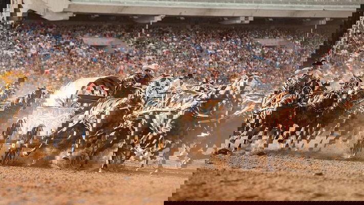 APT Canada Tours & Alaska Cruises - 2025 Season