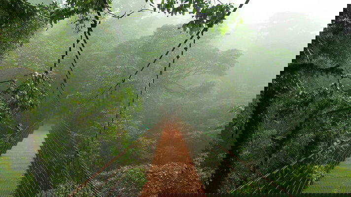 Collette Tours - 2025-2027 Seasons