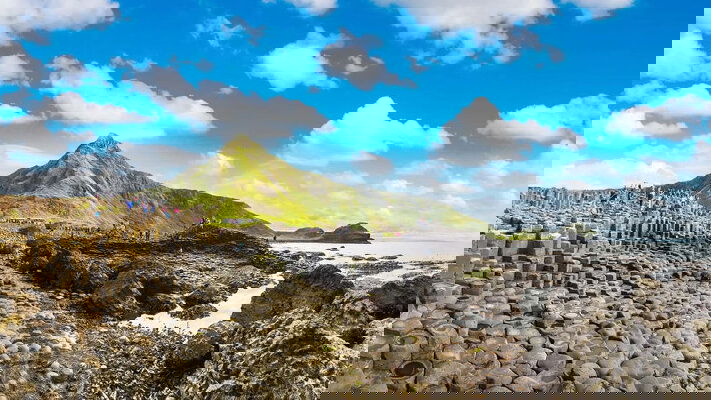 Cosmos Tours - 2025 & 2026 Seasons