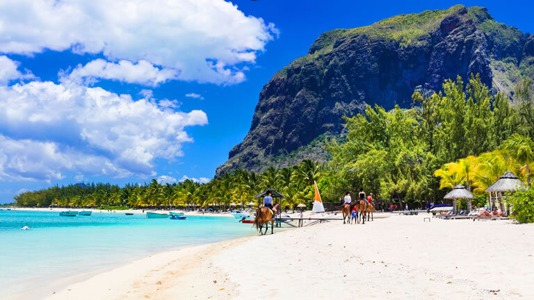 Madagascar Cruises - 2025-2028 Seasons