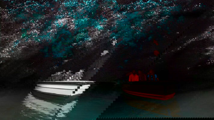 Intrepid New Zealand Tours - 2025-2027 Seasons