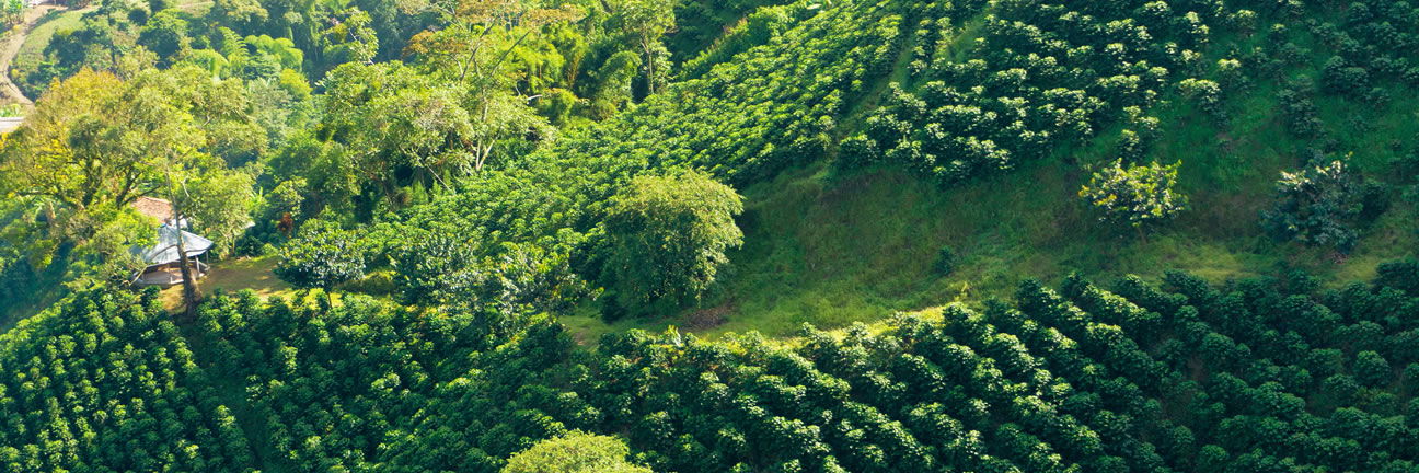 Colombia Tours Starting In December 2026 and 2027