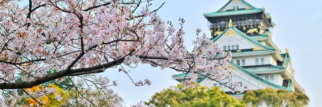 Cherry Blossom Tours & Cruises Starting In September