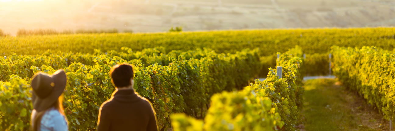 South Australia Tours Starting In November 2026 and 2027