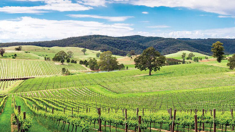 Tastes of Southern Australia - AAT Kings (11 Days From Sydney to Adelaide)