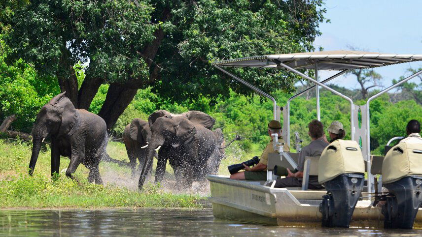 Southern Africa Safari & Rail Adventure - Abercrombie & Kent (13 Days From Cape Town to ...