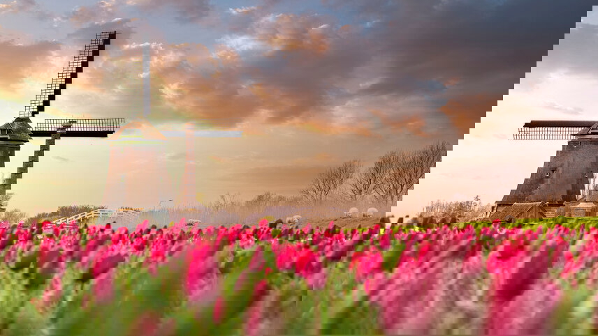 Tulip Serenade - Amadeus (7 Night Roundtrip river cruise from Amsterdam)