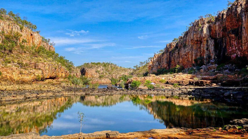 Top End Tropical Plants, Cultural Landscapes & Birdlife - APT (8 Days ...