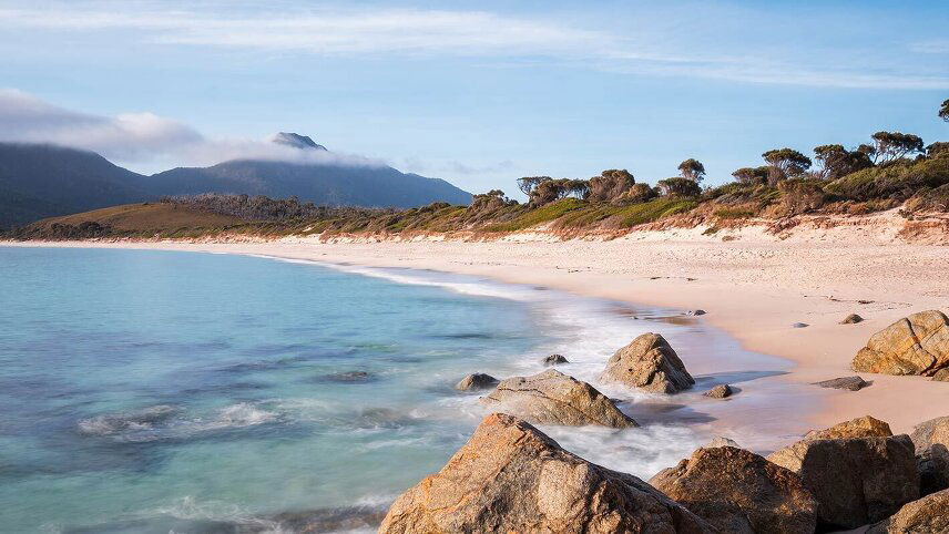 Natural Landscapes of Tasmania in Wildflower Season Walking Tour - APT ...