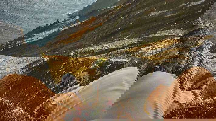 CIE UK & Ireland Tours - 2025 & 2026 Seasons