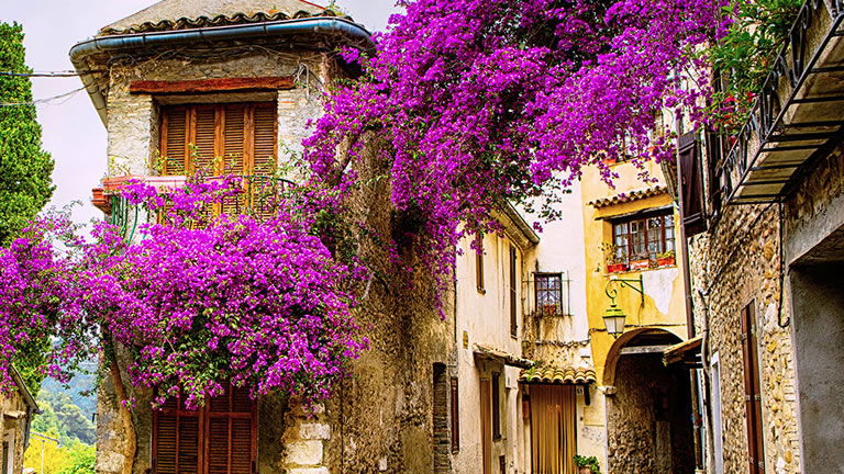 Spotlight on the French Riviera - Collette (8 Days From Nice to Nice)