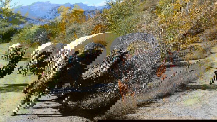 Collette Tours - 2024-2026 Seasons