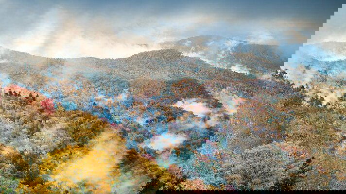 Collette National Parks Tours - 2025-2027 Seasons