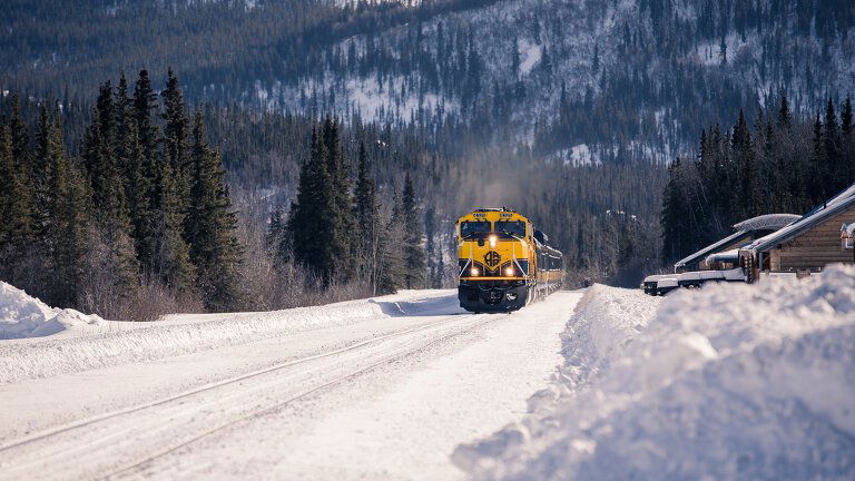 Alaska's Northern Lights - Collette (7 Days From Anchorage to Fairbanks)