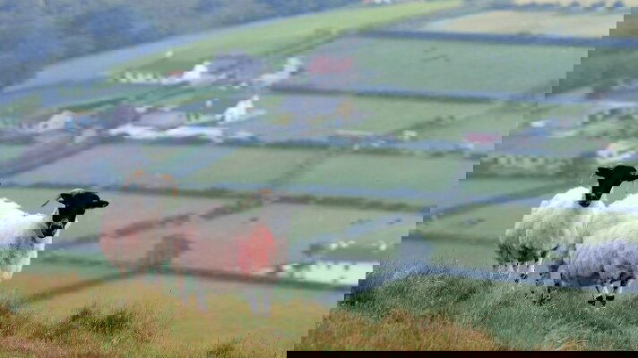 Collette UK & Ireland Tours - 2025-2027 Seasons