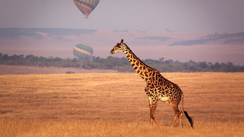 Kenya Adventure - Contiki (6 Days From Nairobi to Nairobi)