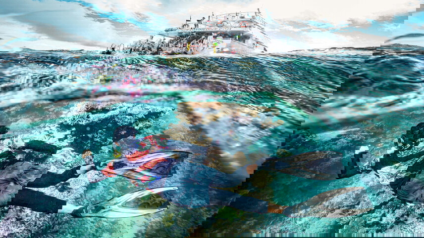 Great Barrier Reef Explorer (Learn to Dive) - Contiki (5 Days From ...