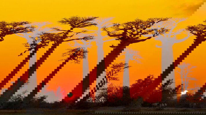 Exodus Tours - 2024-2026 Seasons