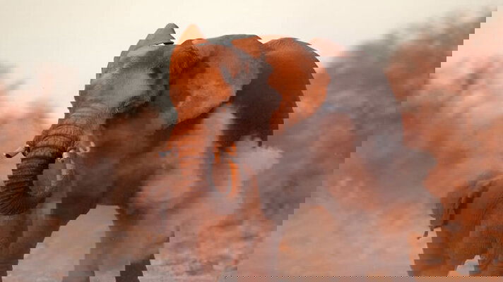 Exodus Tours - 2024-2026 Seasons