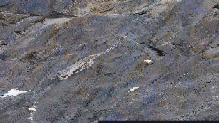 Exodus Tours - 2025-2027 Seasons