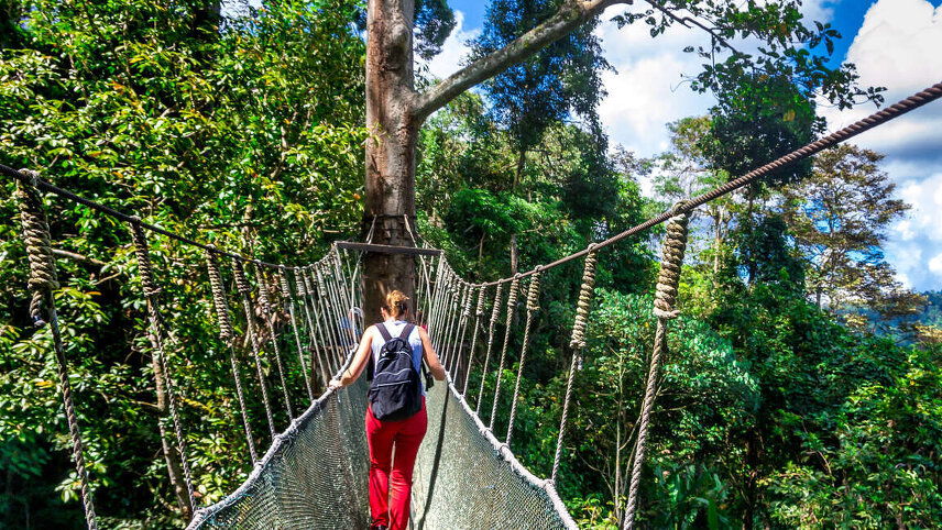 Borneo Wildlife Highlights (Sabah) - Explore (10 Days From Kota ...