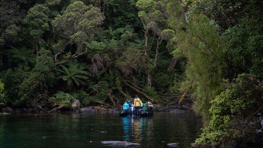 Southern Fiords Discovery - Heritage Expeditions (6 Night Roundtrip ...