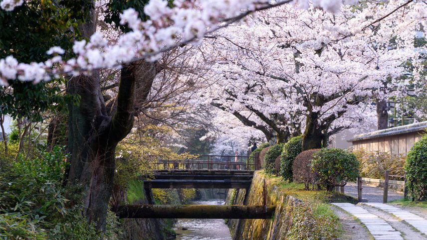 Japan: Koya-san & Kumano Kodo Trek - Intrepid (8 Days From Kyoto to Osaka)