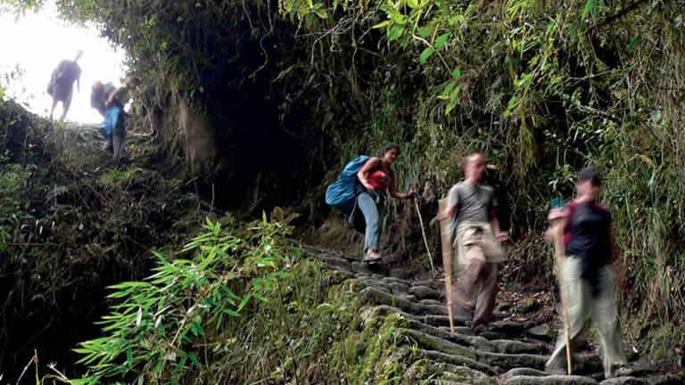 Inca Trail Express - Intrepid (7 Days From Cusco to Cusco)