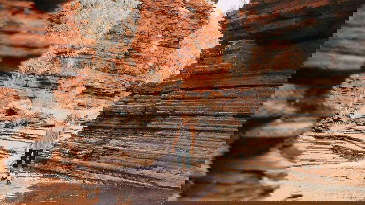 Intrepid Tours - 2024-2026 Seasons