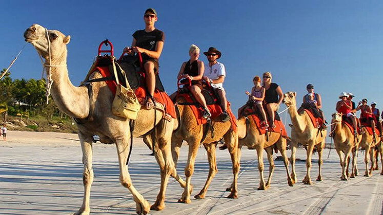 Intrepid Australia Tours | 60 Tours | 10 Reviews