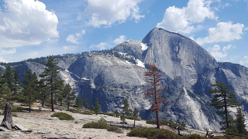 Hiking and Backpacking Yosemite's North Rim - Intrepid (4 Days From ...