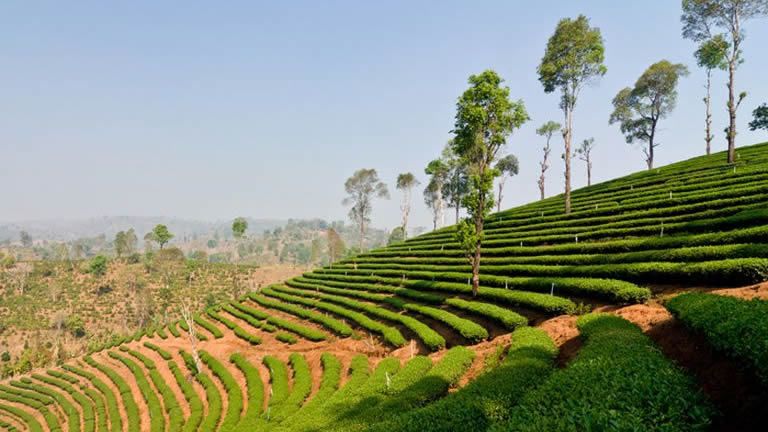 Chiang Mai & Golden Triangle - Intrepid (3 Days From Chiang Mai to ...