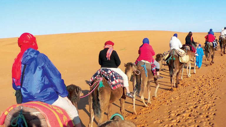 Intrepid Family Adventures | 2025-2028 Seasons