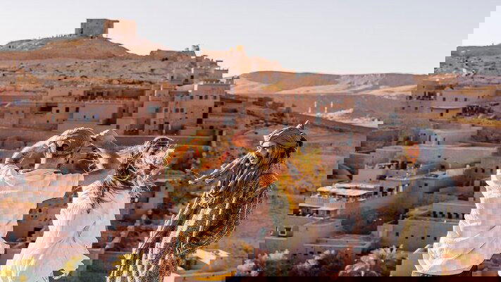 Intrepid Tours - 2024-2027 Seasons