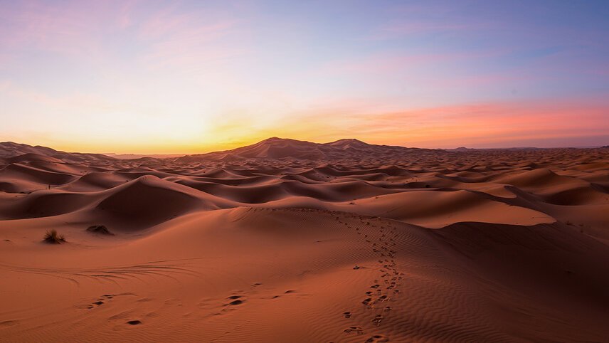 Sahara Mini Adventure - Intrepid (3 Days From Marrakesh to Marrakesh)