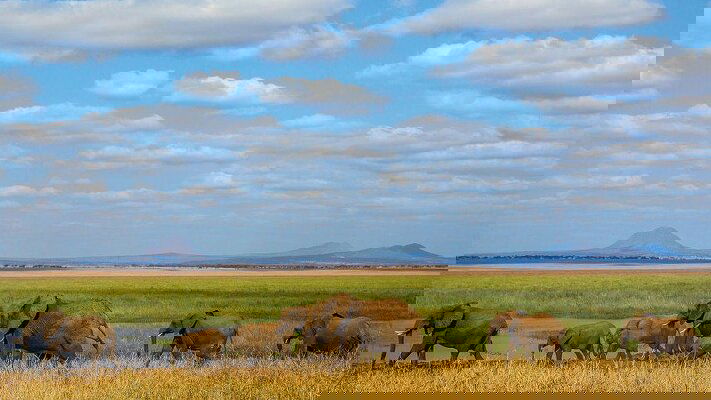 Intrepid's 'Premium' Tours - 2025 & 2026 Seasons