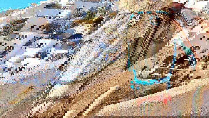 Intrepid Tours - 2025 & 2026 Seasons