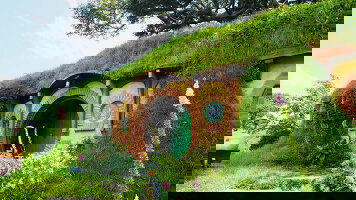 Intro Travel & Tour Reviews