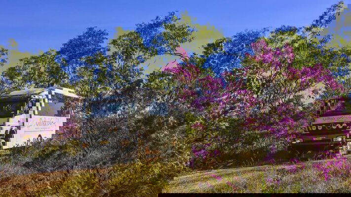 Outback Spirit Tours & Adventures - 2025 & 2026 Seasons