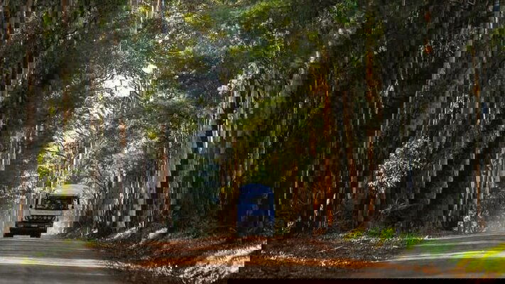 Outback Spirit Tours & Adventures - 2023 & 2024 Seasons