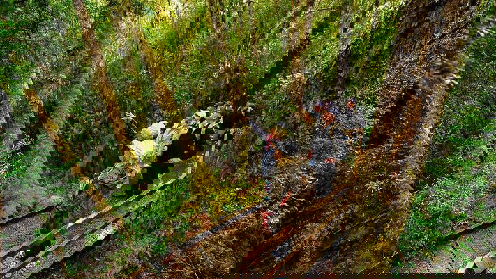 Outback Spirit Tours & Adventures - 2025 & 2026 Seasons