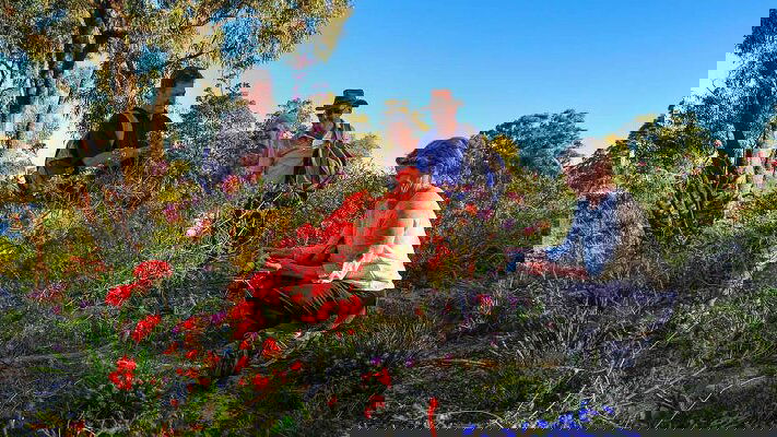 Outback Spirit Tours & Adventures - 2025 & 2026 Seasons