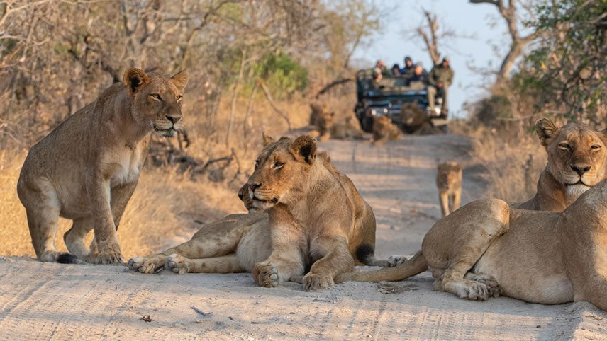 Ultimate African Expedition - Scenic (26 Days From Cape Town to Nairobi)