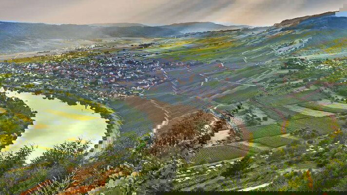 Scenic Europe Tours & River Cruises - 2025-2027 Seasons