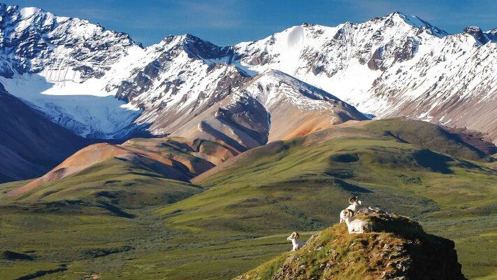 Tauck Tours & River Cruises - 2025 & 2026 Seasons