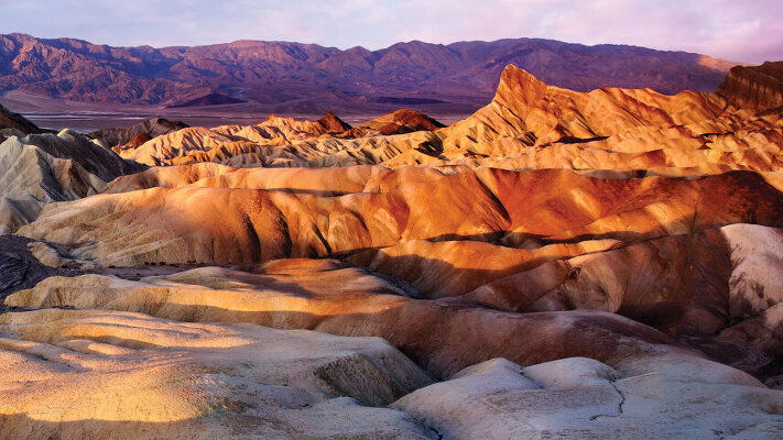 Tauck USA Tours - 2025 & 2026 Seasons
